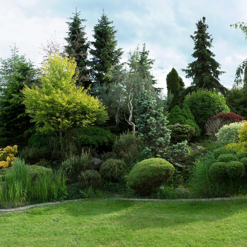 Weekly Lawn Maintenance | Blog | Marlin Landscape