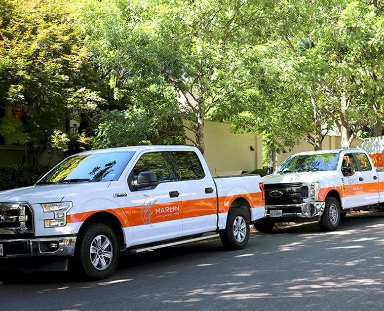 Landscaping with Dallas Native Plants | Blog | Marlin Landscape