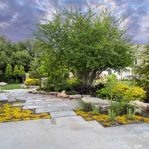Dallas Landscapers | About the Marlin Landscape Team