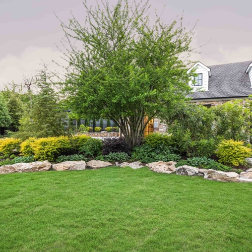 Dallas Landscapers | About the Marlin Landscape Team