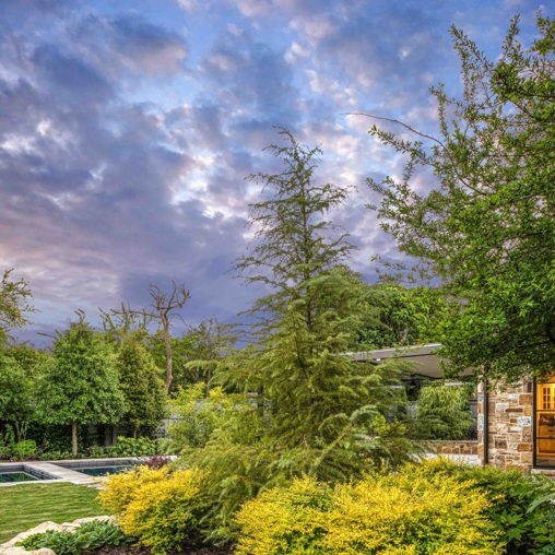 Dallas Landscapers | About the Marlin Landscape Team