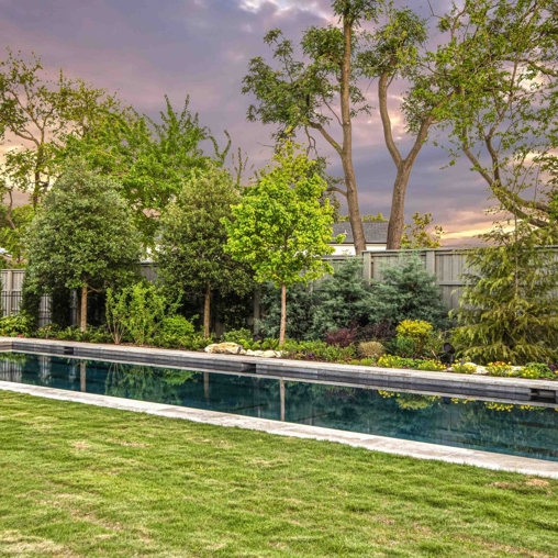 Dallas Landscapers | About the Marlin Landscape Team