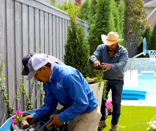 2022 Blogs | Marlin Landscape