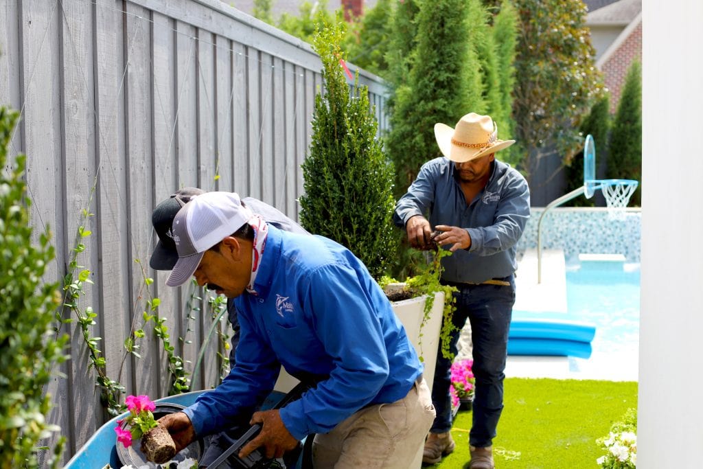 Spring Landscape Maintenance Checklist | Marlin Landscape